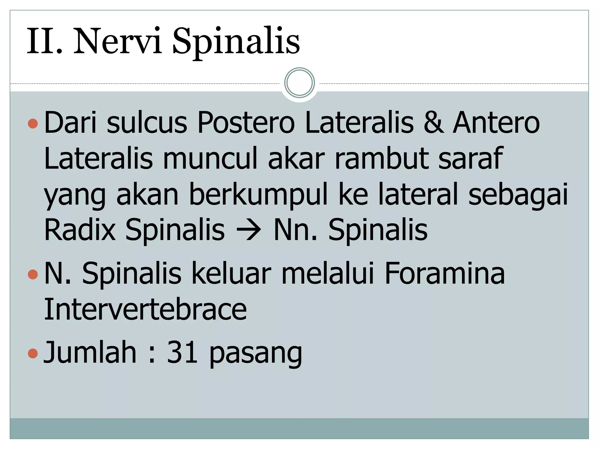 Anatomi sistem saraf perifer | PPTX