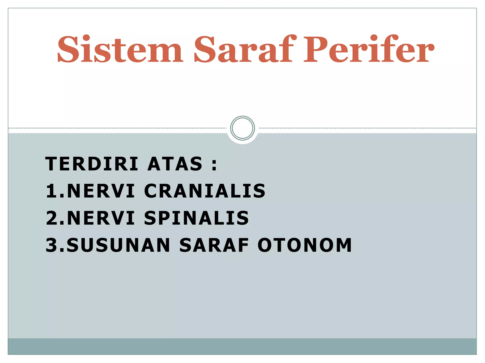 Anatomi sistem saraf perifer | PPTX