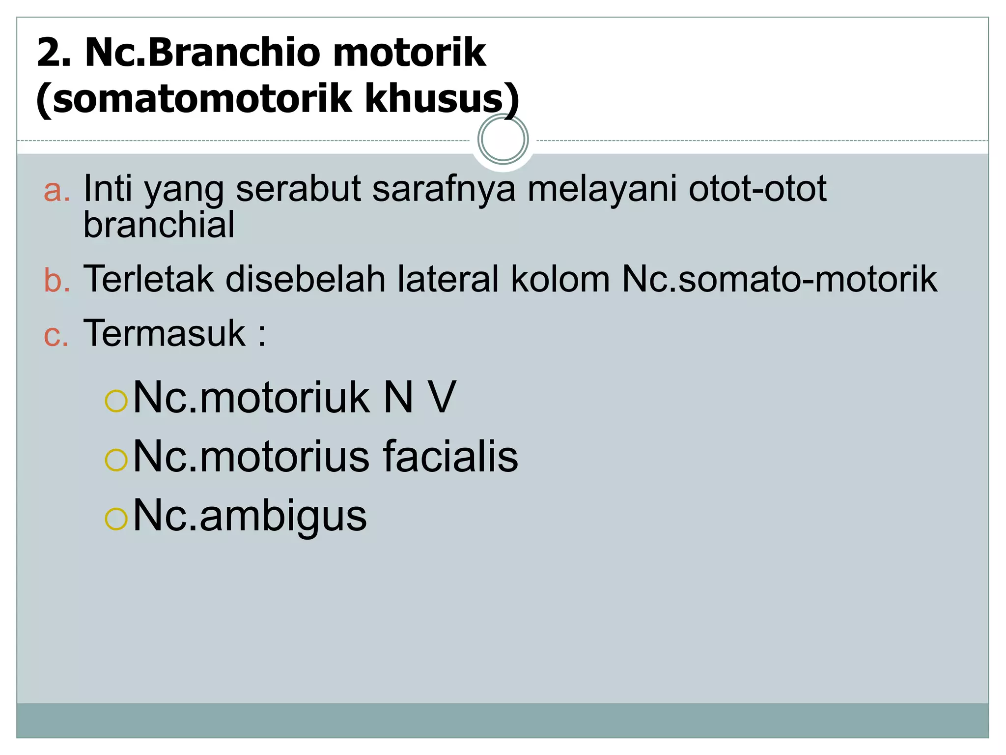 Anatomi sistem saraf perifer | PPTX