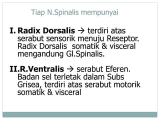 Anatomi sistem saraf perifer | PPTX