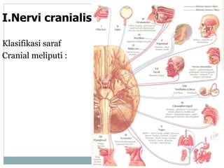 Anatomi sistem saraf perifer | PPTX