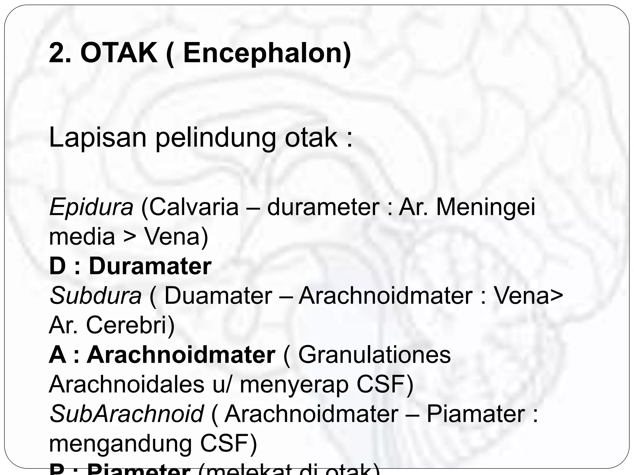 Anatomi sistem saraf pusat | PPTX