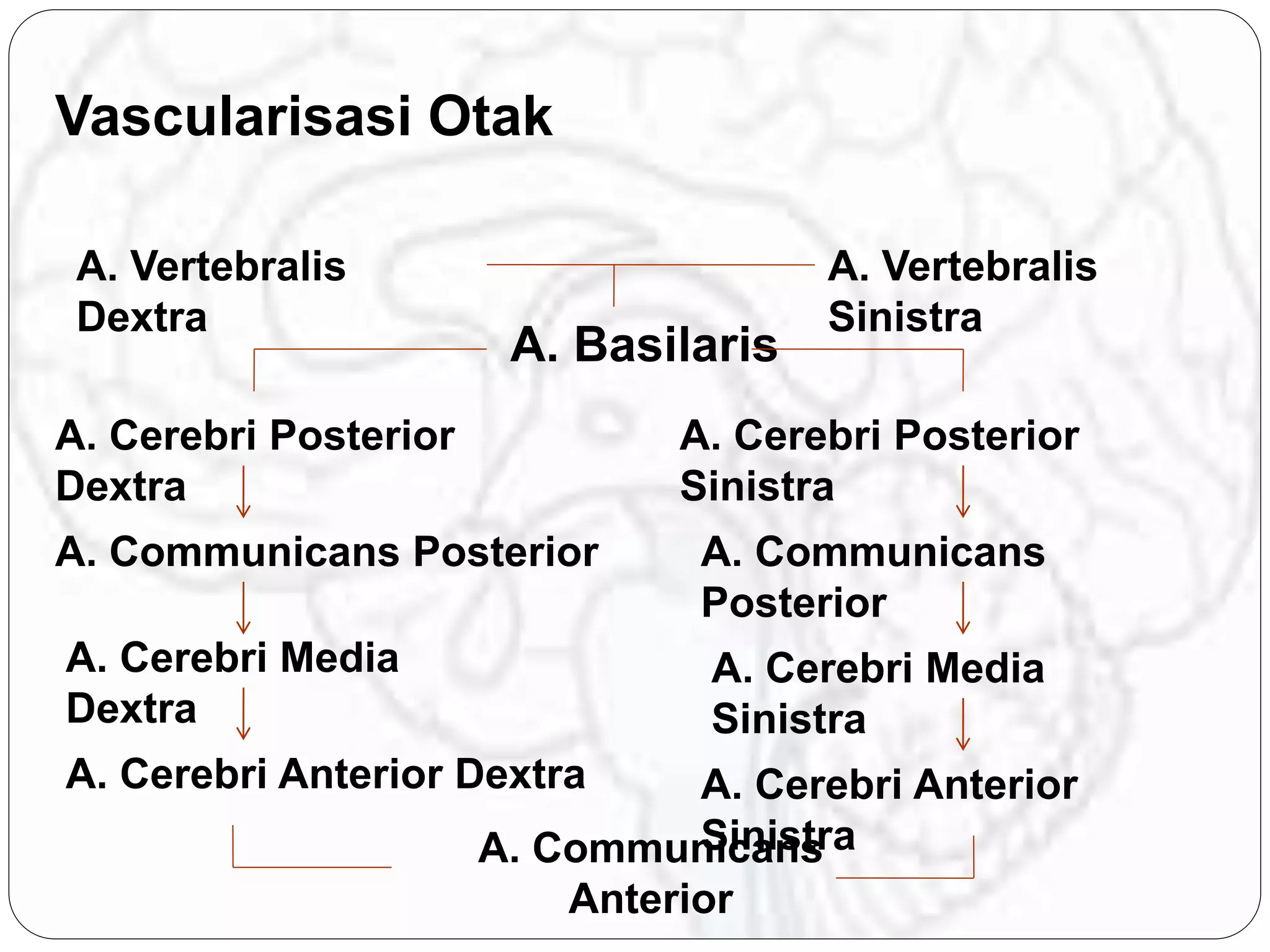 Anatomi sistem saraf pusat | PPTX