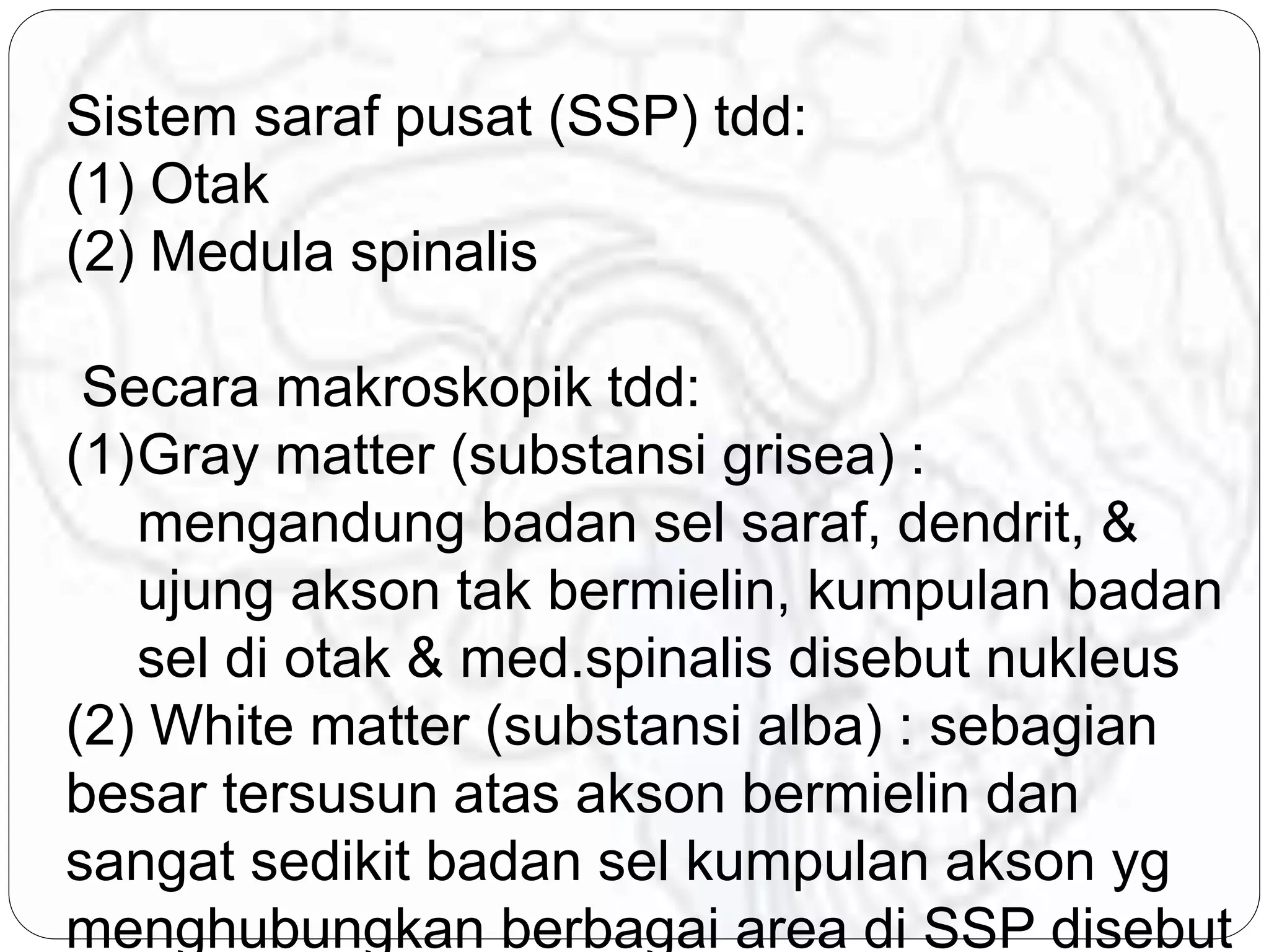 Anatomi sistem saraf pusat | PPTX