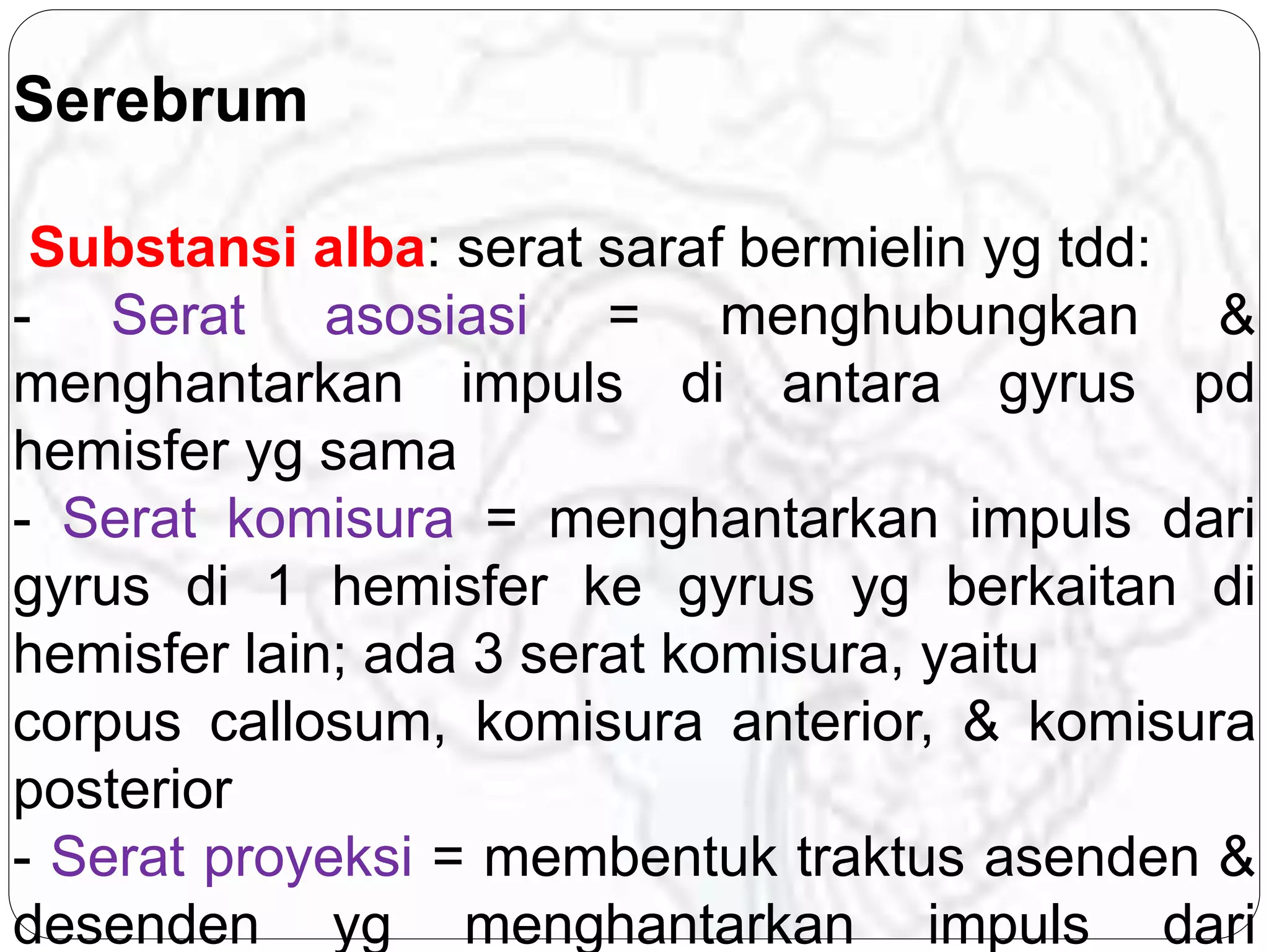 Anatomi sistem saraf pusat | PPTX