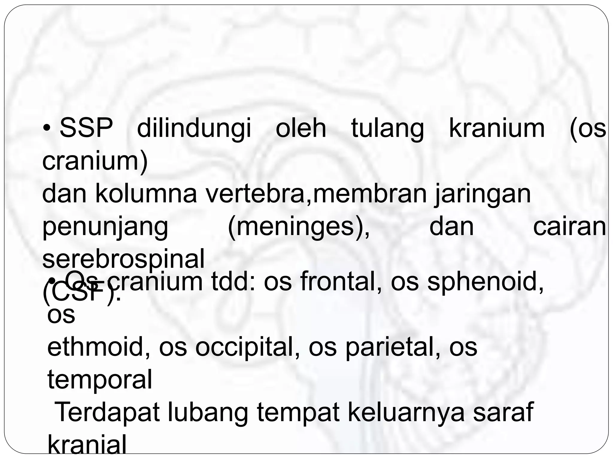 Anatomi sistem saraf pusat | PPTX