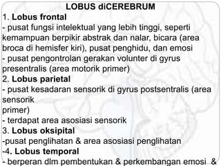 Anatomi sistem saraf pusat | PPTX
