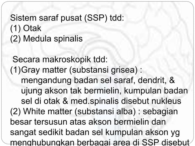 Anatomi sistem saraf pusat | PPTX