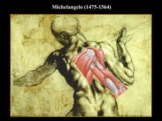 Anatomists and their art | PPTX