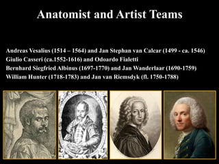 Anatomists and their art | PPT