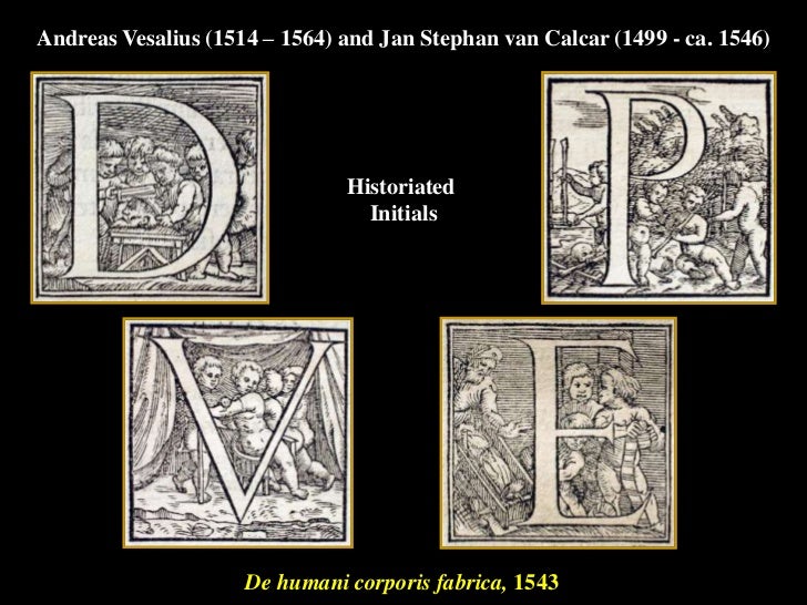 Anatomists and their art