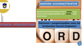 ANATOMI & TAKSONOMI CP 33. jgjhbnghbnbhpdf | PDF