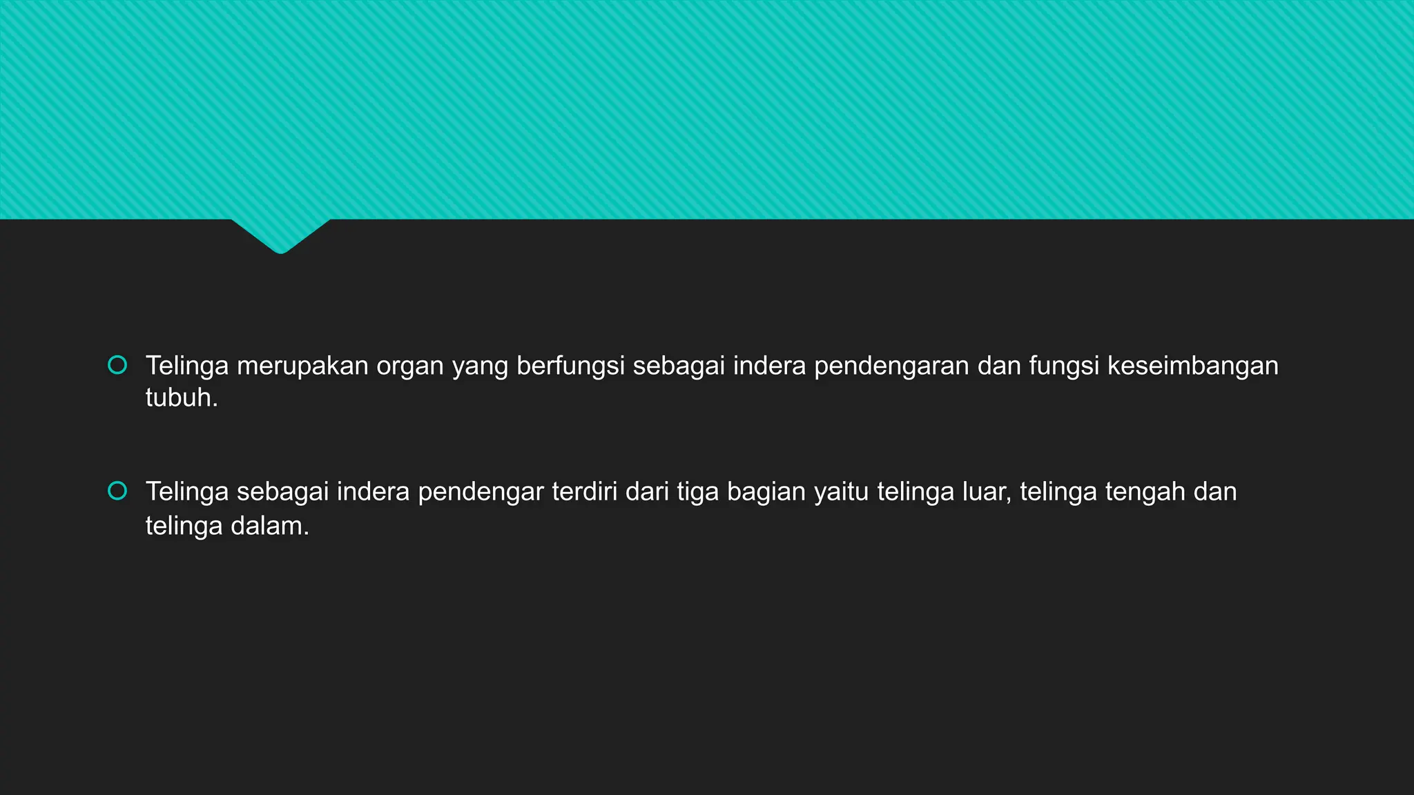 Anatomi Telinga.pptx