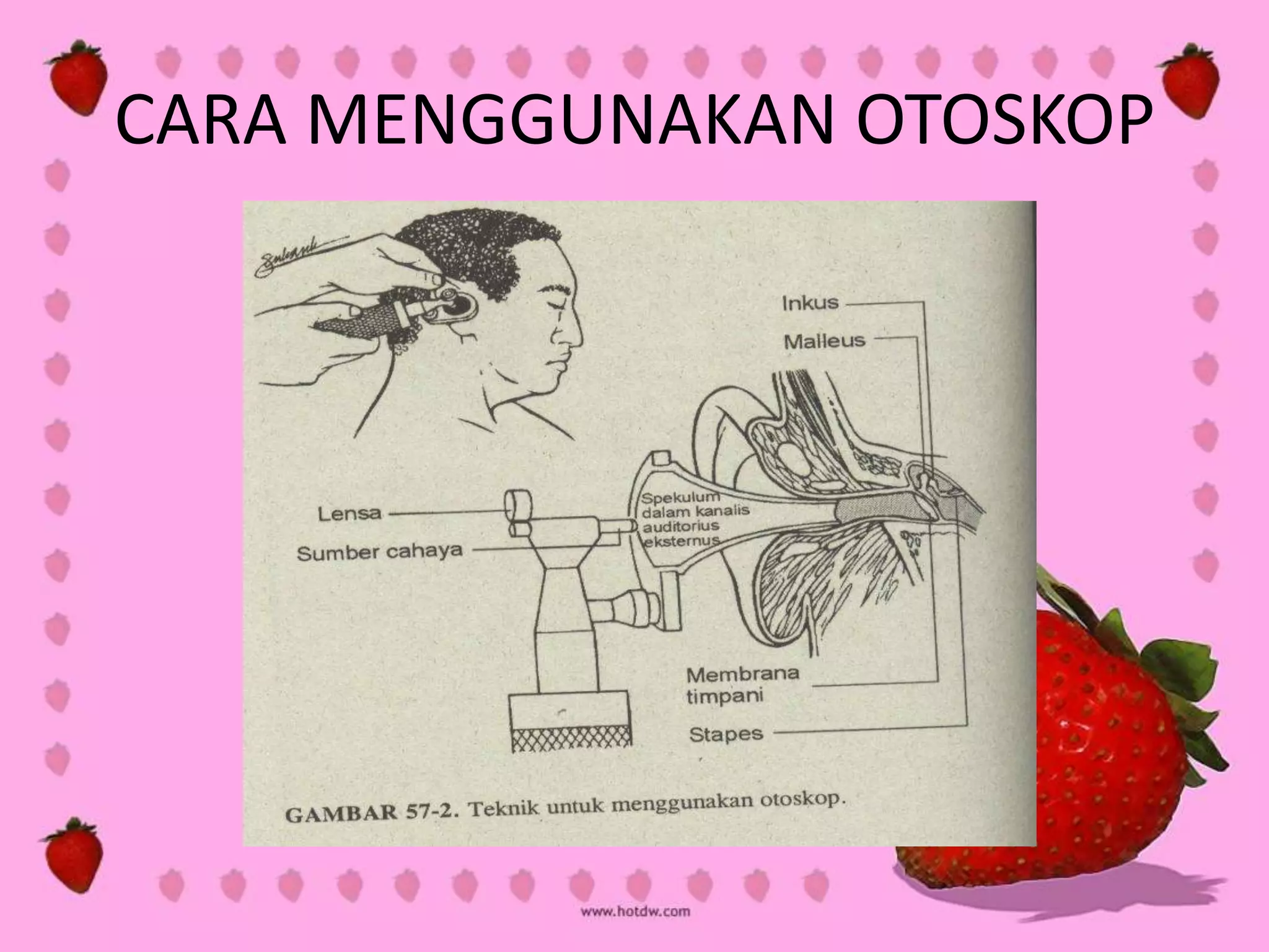 Anatomi telinga luar & tengah | PPTX