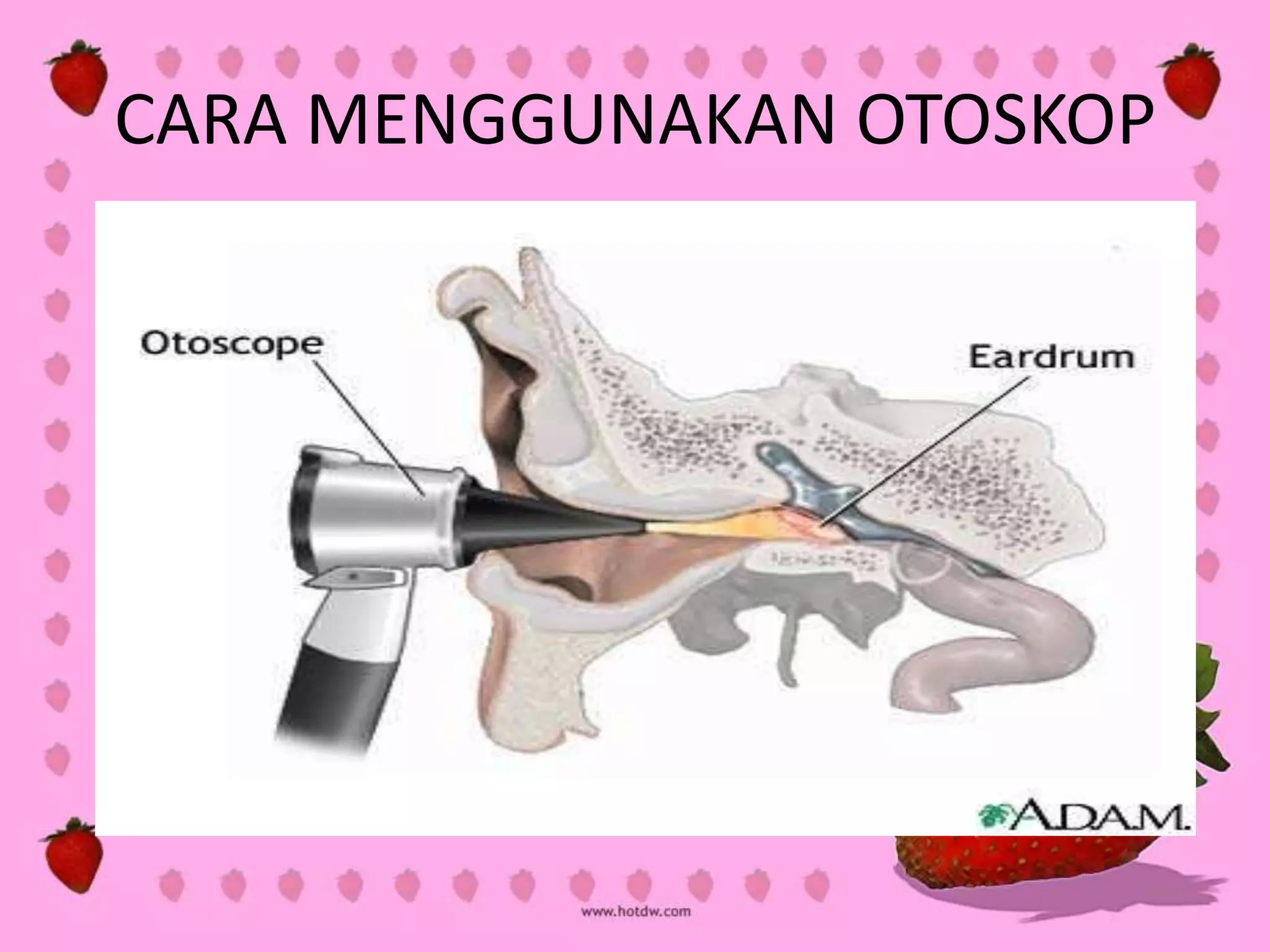 Anatomi telinga luar & tengah | PPTX