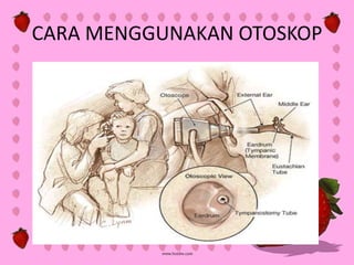 Anatomi telinga luar & tengah | PPTX