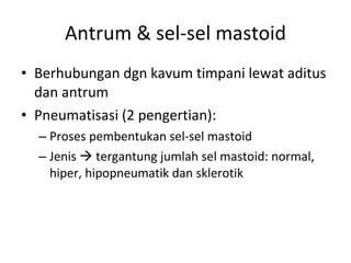 Anatomi telinga tengah ruptur mt oma | PPT