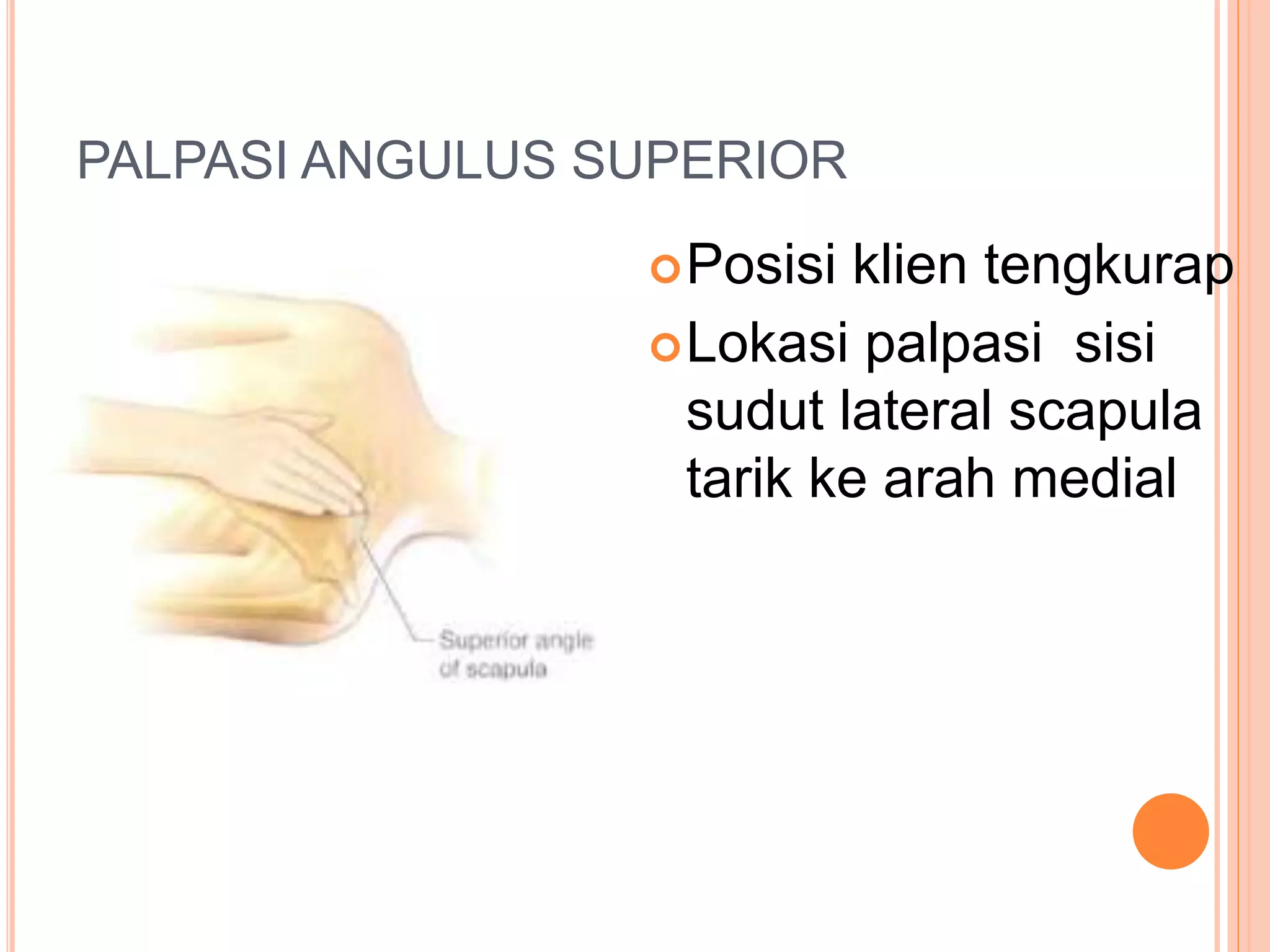 Anatomi Terapan Pada Bahu dan Lengan Atas | PPTX
