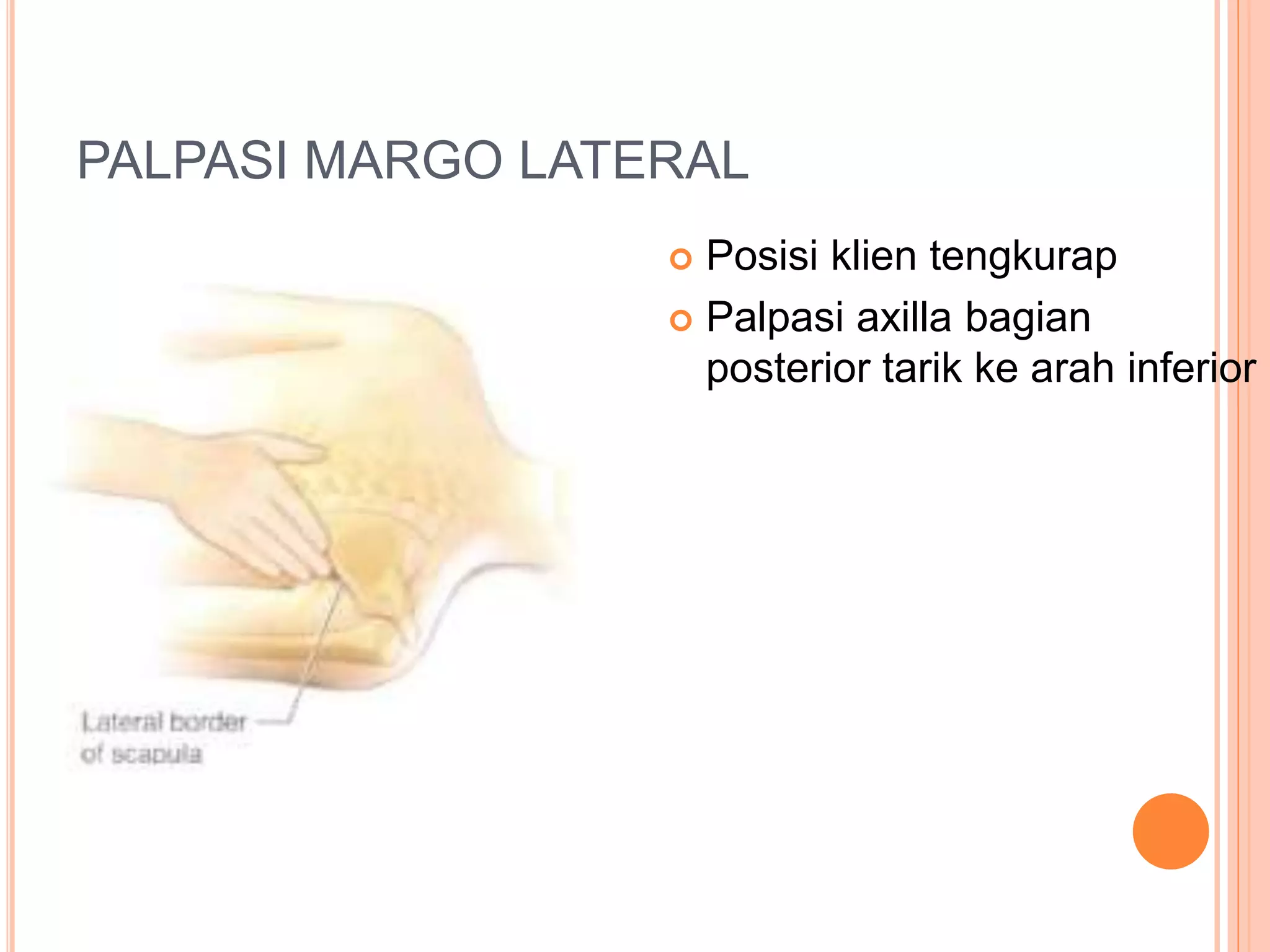 Anatomi Terapan Pada Bahu dan Lengan Atas | PPTX