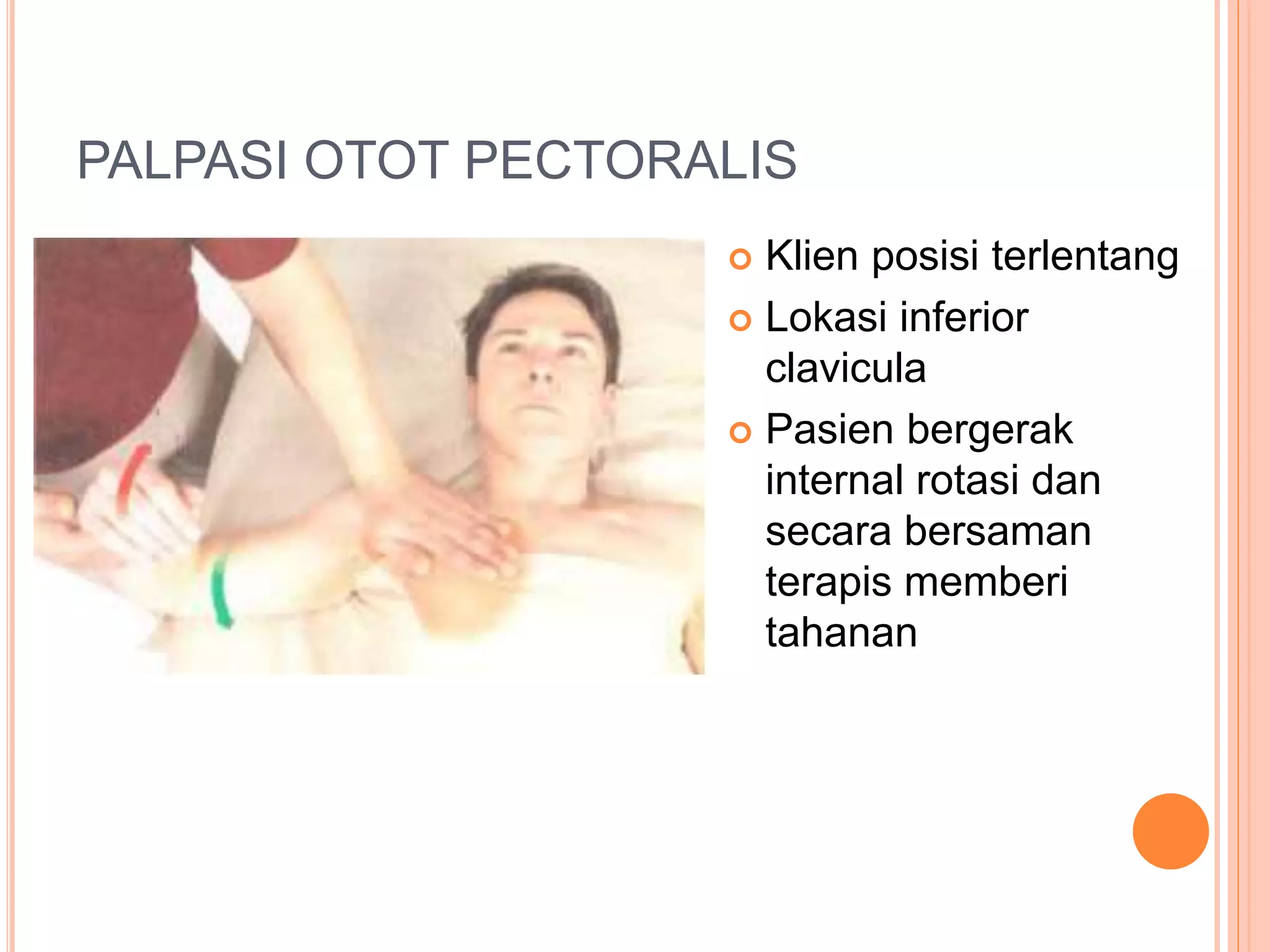 Anatomi Terapan Pada Bahu dan Lengan Atas | PPTX