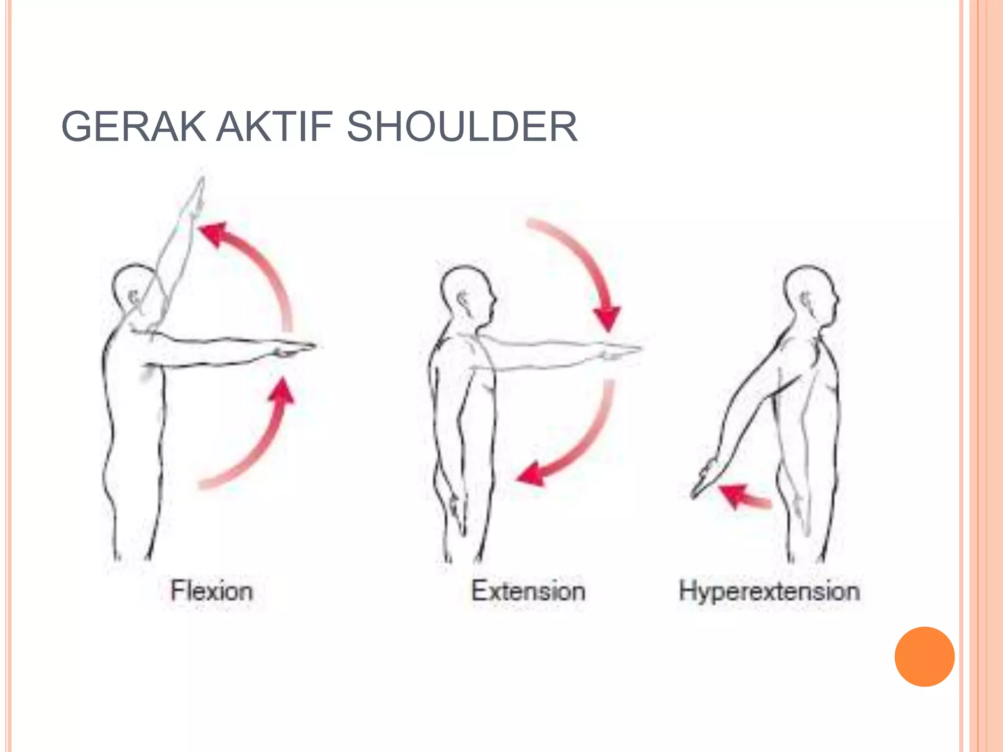 Anatomi Terapan Pada Bahu dan Lengan Atas | PPTX