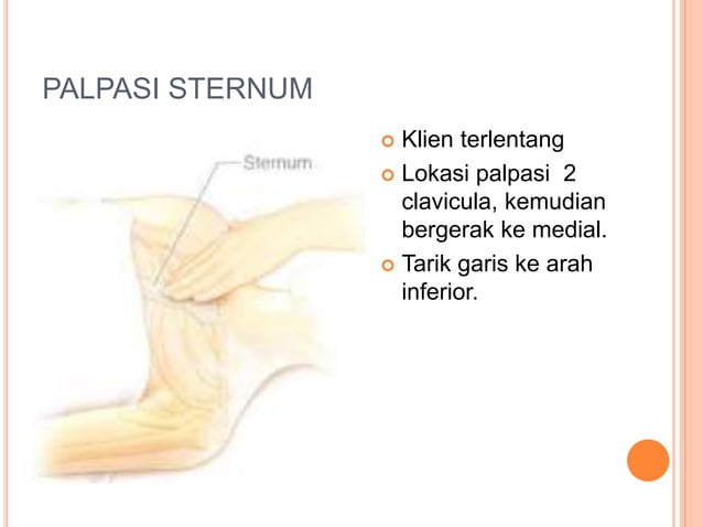 Anatomi Terapan Pada Bahu dan Lengan Atas | PPTX