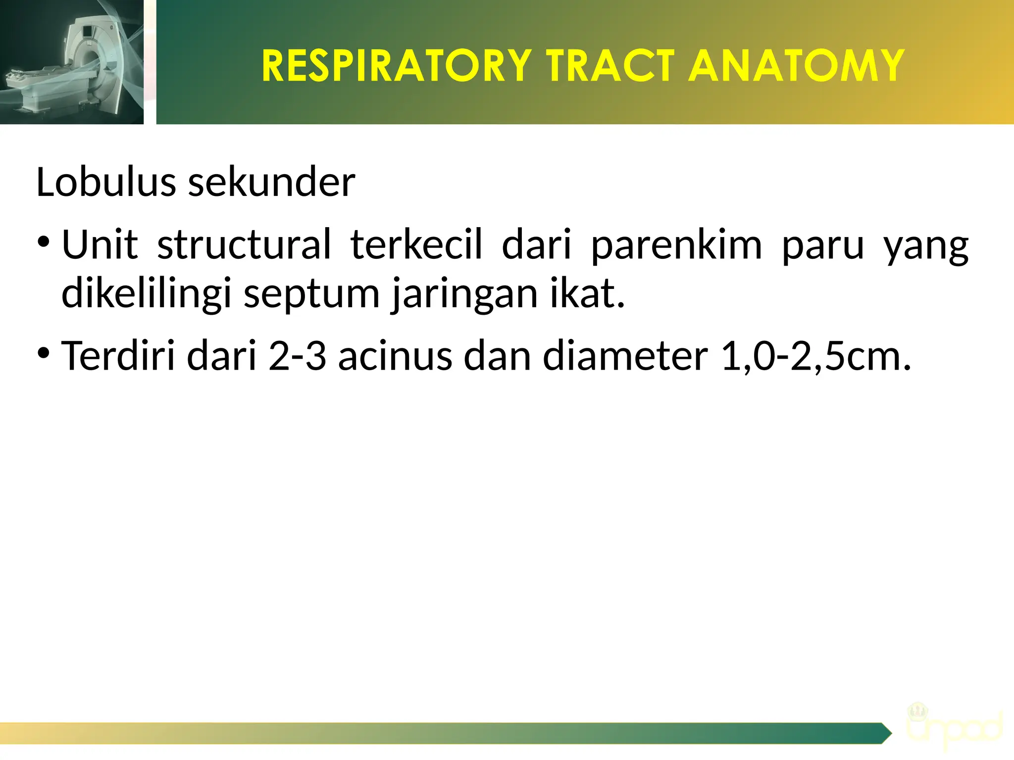 ANATOMI THORAKS Basic for Radiologi.pptx