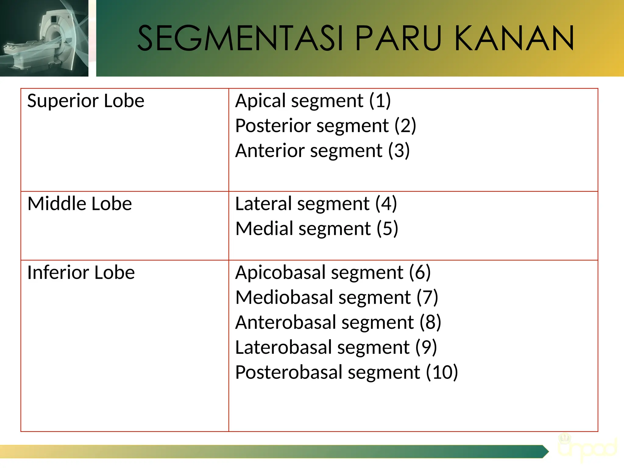 ANATOMI THORAKS Basic for Radiologi.pptx