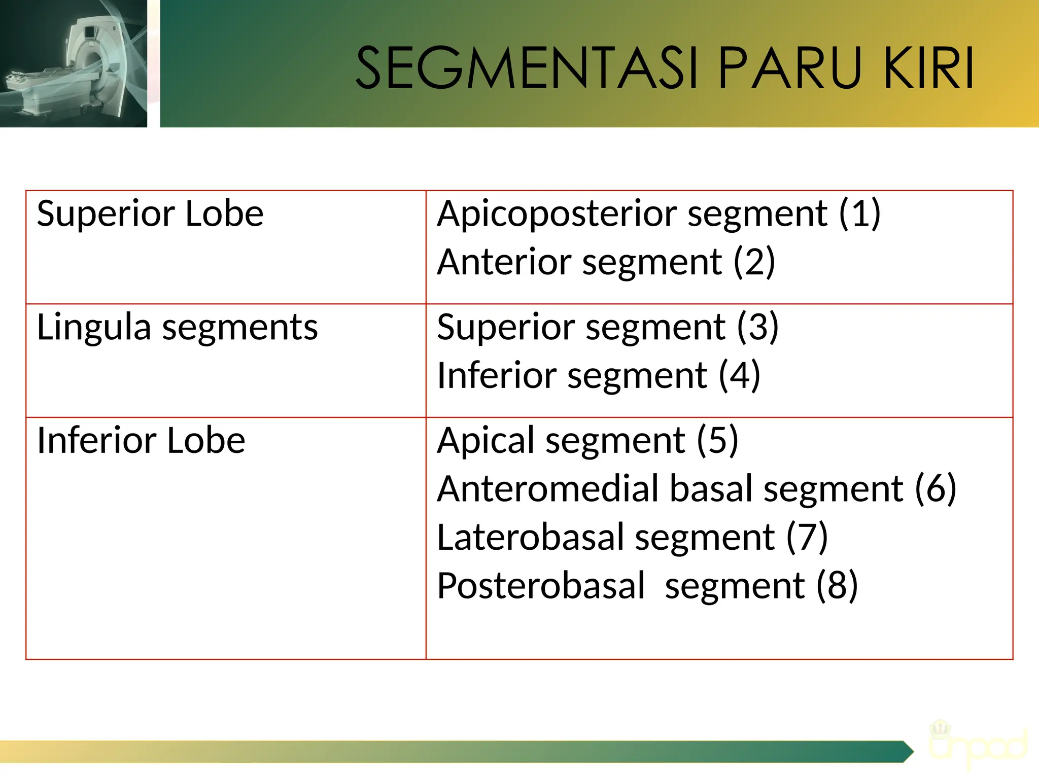 ANATOMI THORAKS Basic for Radiologi.pptx