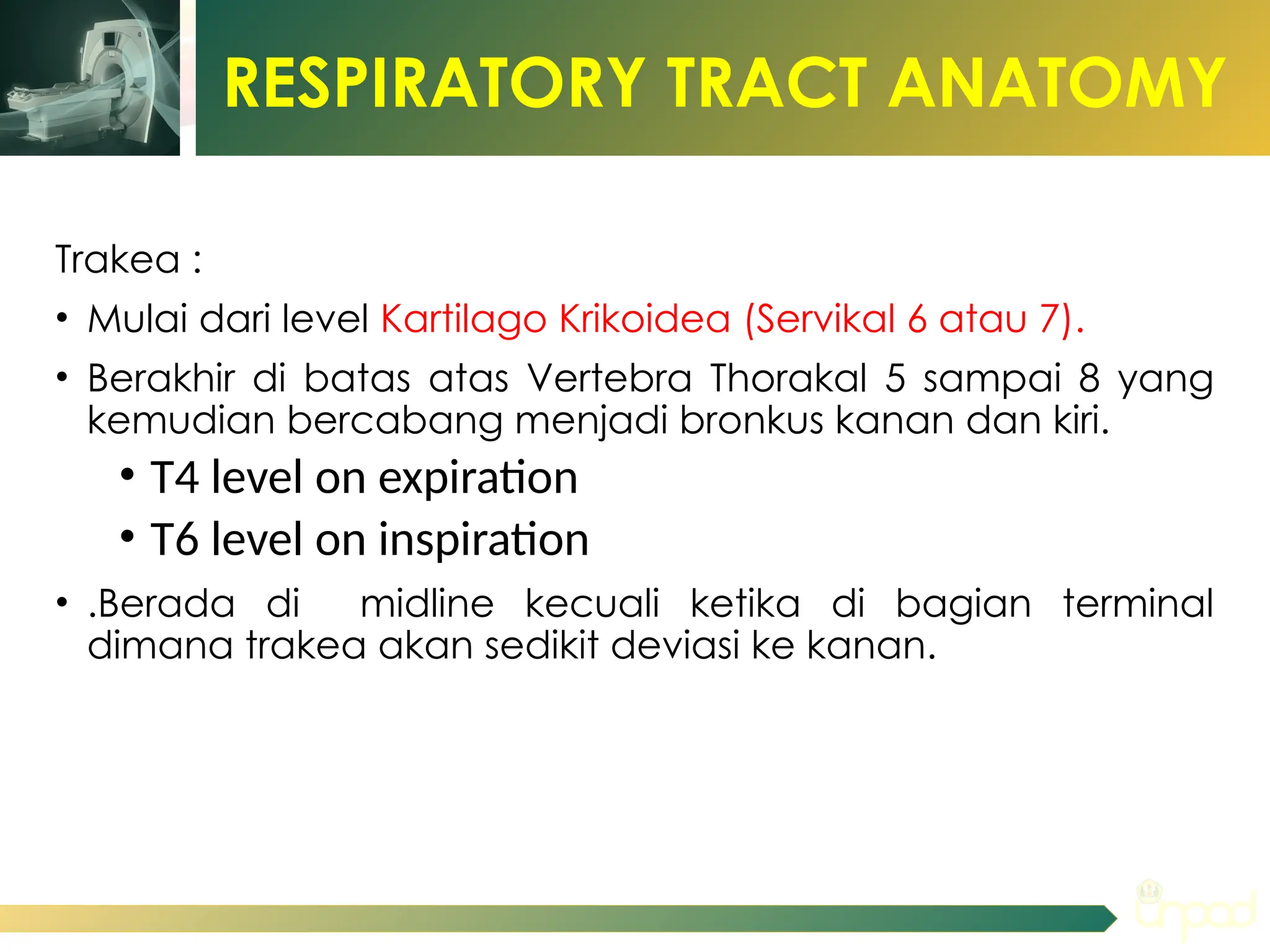 ANATOMI THORAKS Basic for Radiologi.pptx
