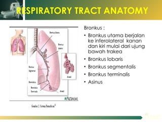 ANATOMI THORAKS Basic for Radiologi.pptx