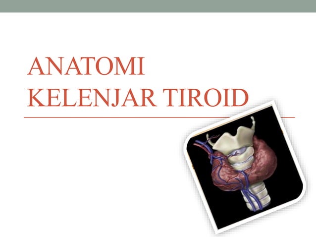 Anatomi tiroid | PPTX
