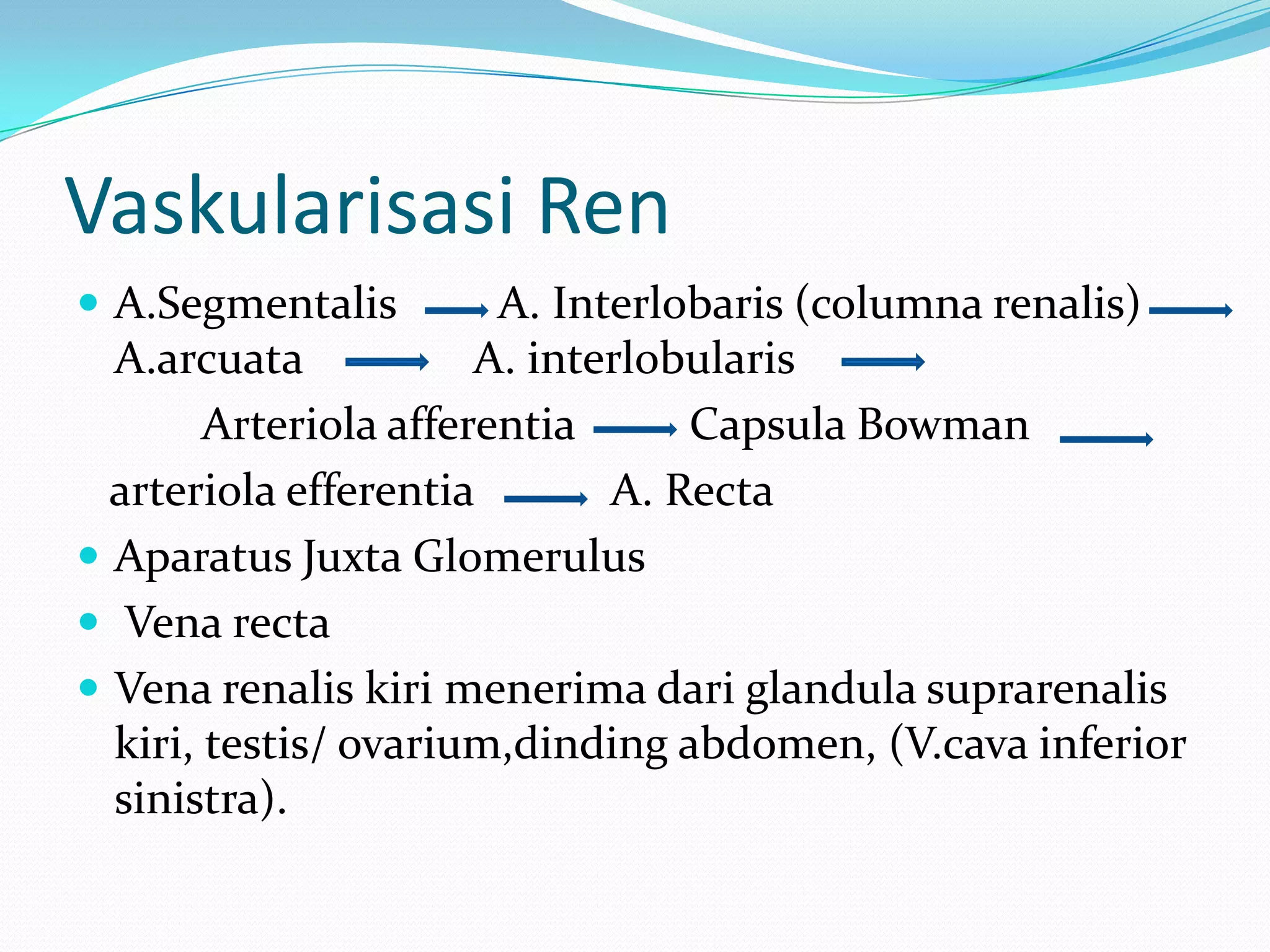 Anatomi traktus urinarius | PPTX