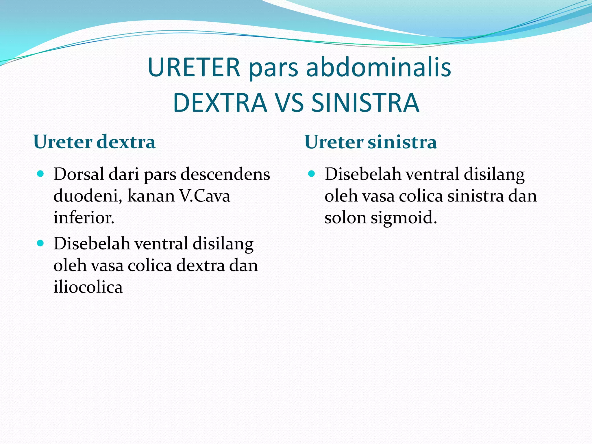 Anatomi traktus urinarius | PPTX