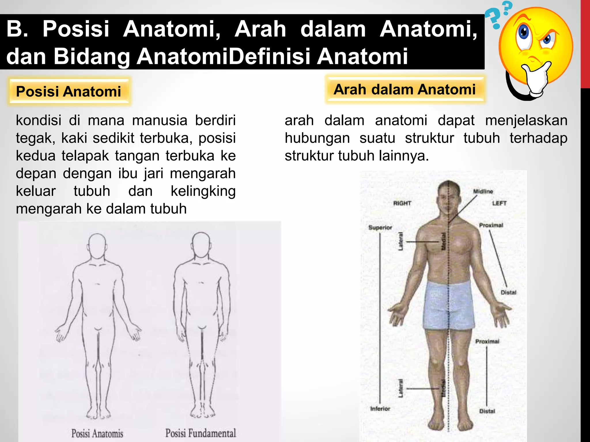 Anatomi tubuh manusia | PPTX