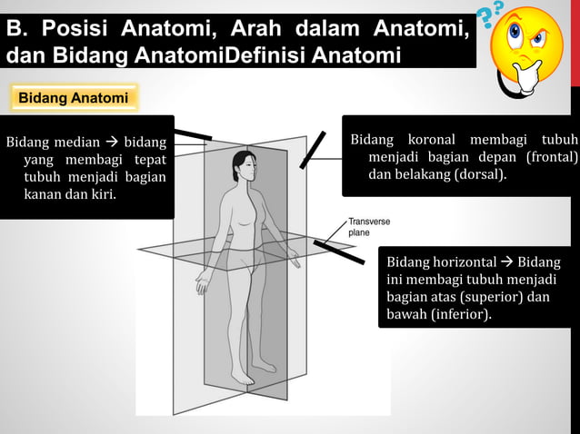 Anatomi tubuh manusia | PPTX