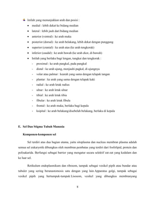 ANATOMI_TUBUH_MANUSIA.docx