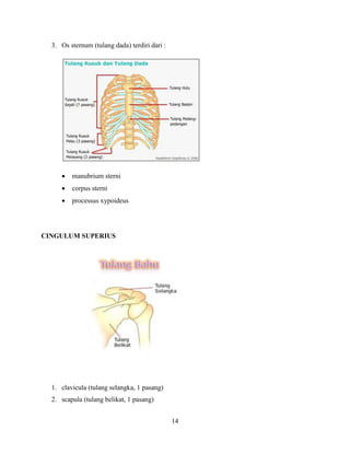 ANATOMI_TUBUH_MANUSIA.docx