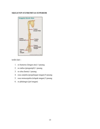 ANATOMI_TUBUH_MANUSIA.docx