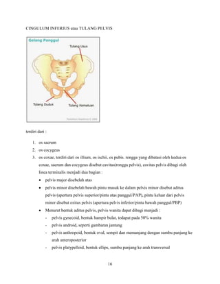 ANATOMI_TUBUH_MANUSIA.docx