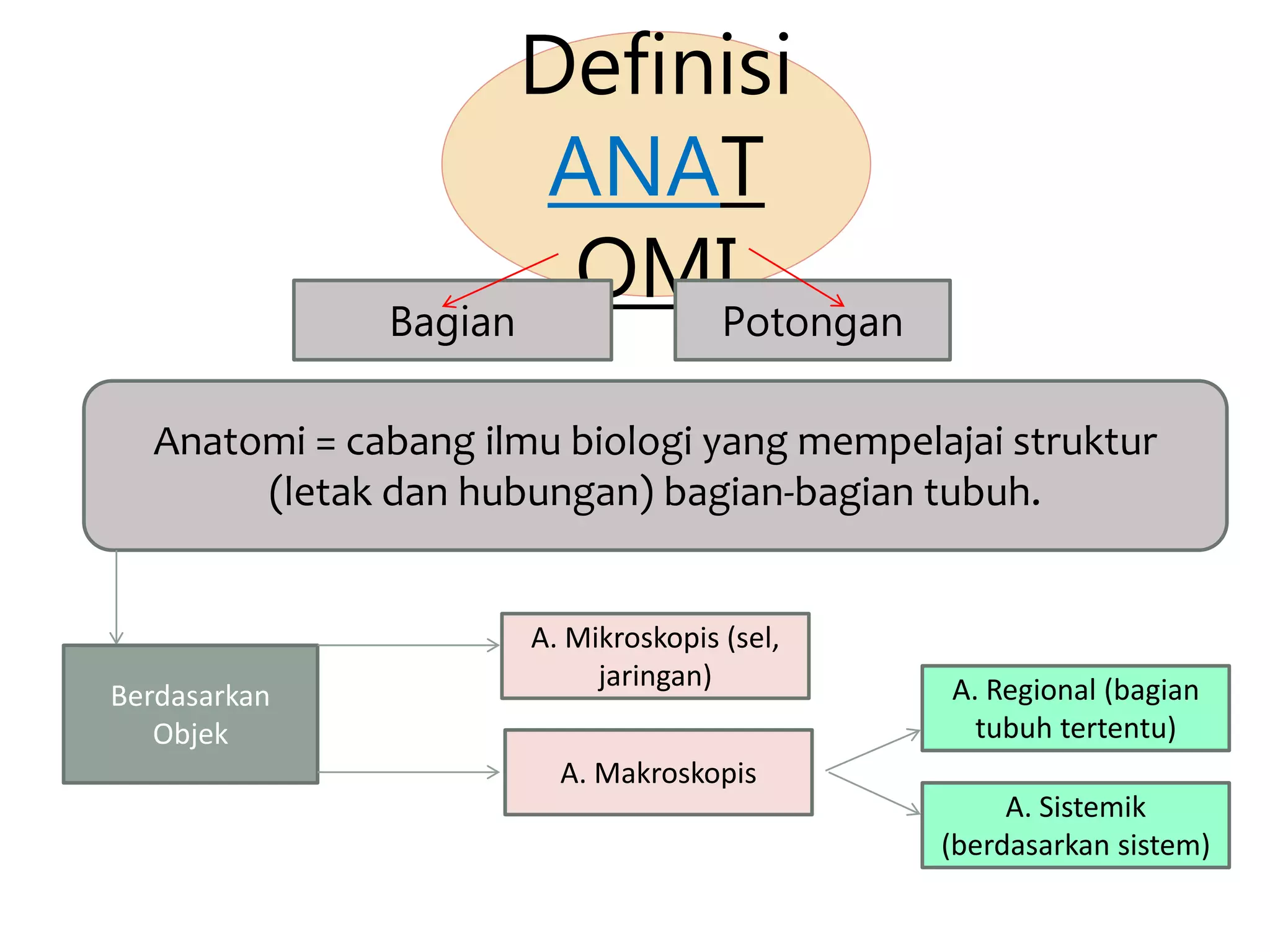 ANATOMI TUBUH MANUSIA.pptx