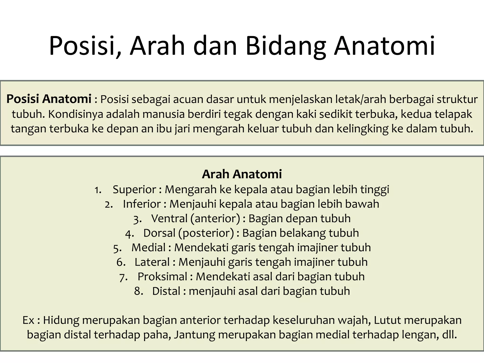 ANATOMI TUBUH MANUSIA.pptx