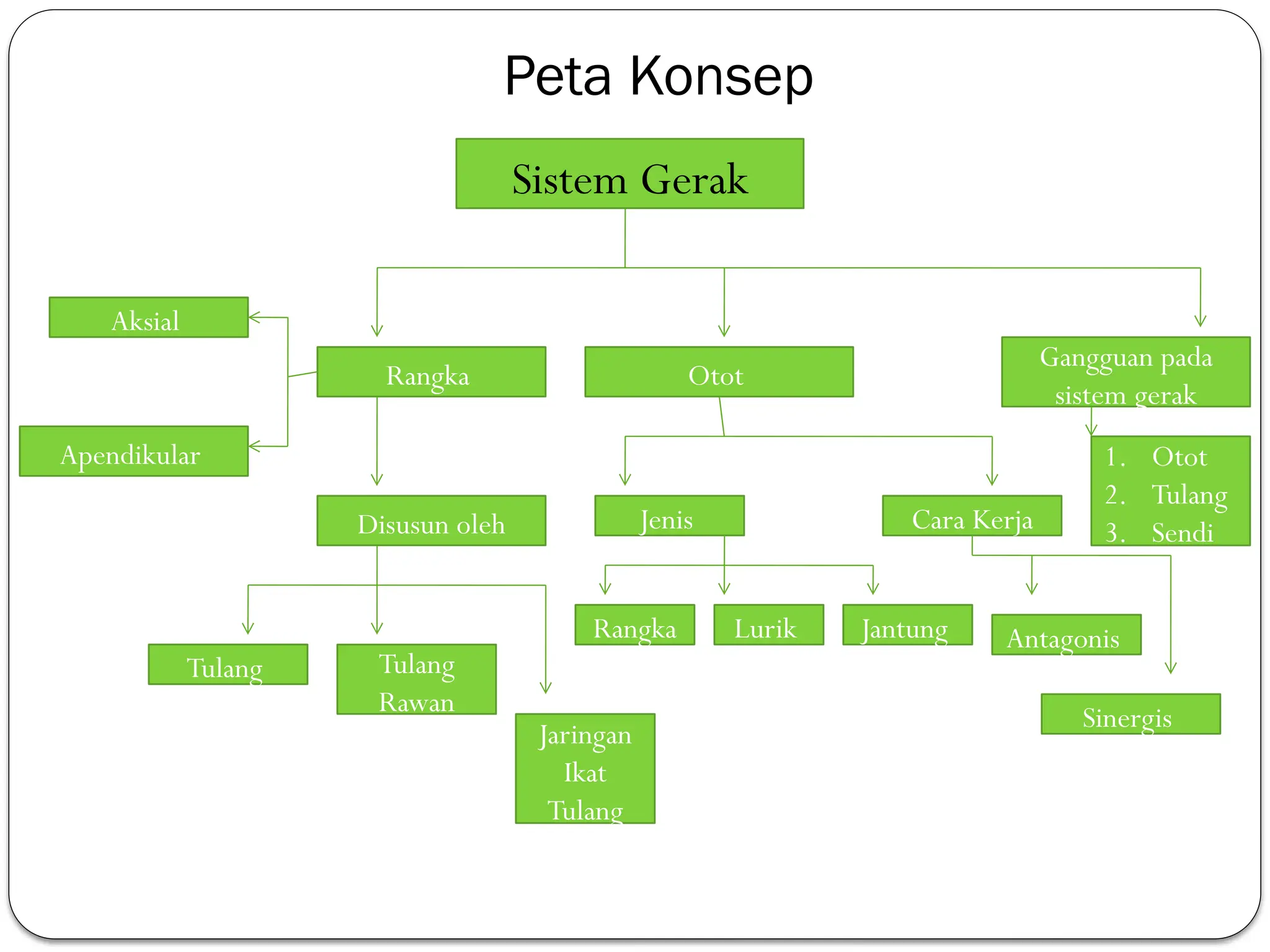 Anatomi tubuh manusia (sistem gerak).pptx