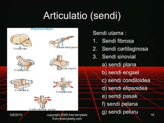 Anatomi tulang rev. | PPTX