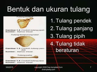 Anatomi tulang rev. | PPTX