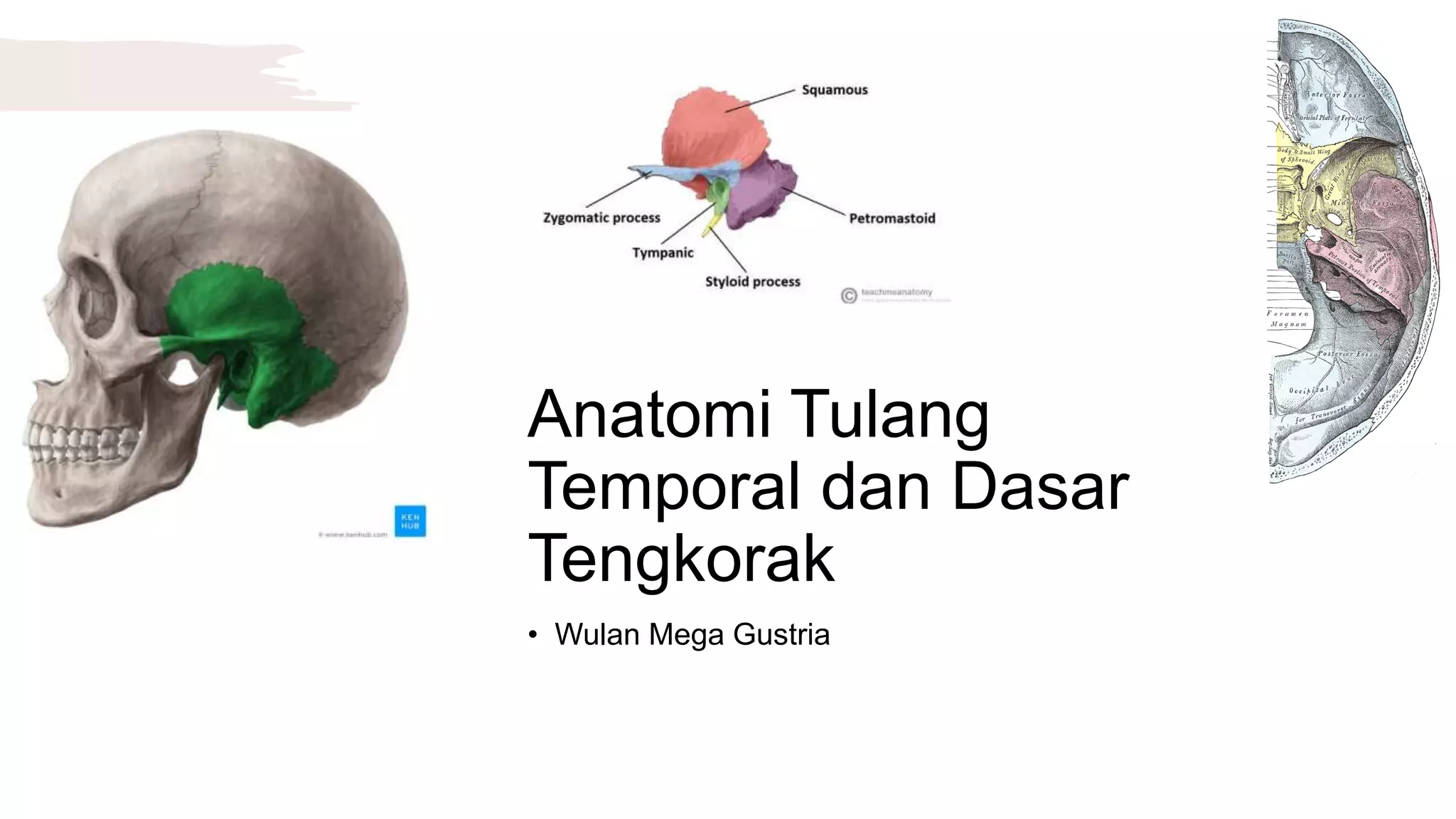 Anatomi Tulang Temporal dan Dasar Tengkorak.pptx