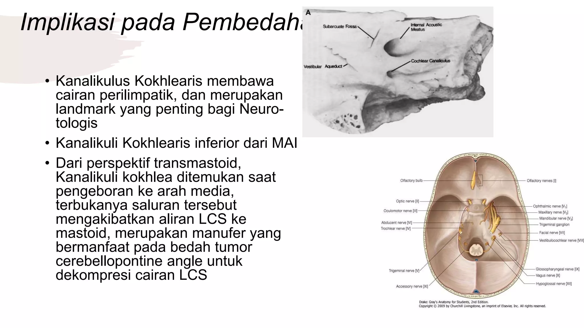 Anatomi Tulang Temporal dan Dasar Tengkorak.pptx