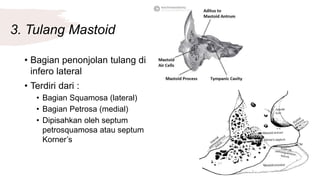 Anatomi Tulang Temporal dan Dasar Tengkorak.pptx