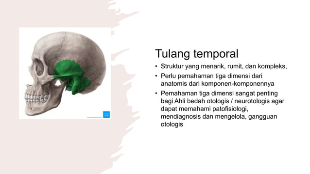 Anatomi Tulang Temporal dan Dasar Tengkorak.pptx