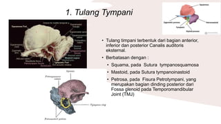 Anatomi Tulang Temporal dan Dasar Tengkorak.pptx